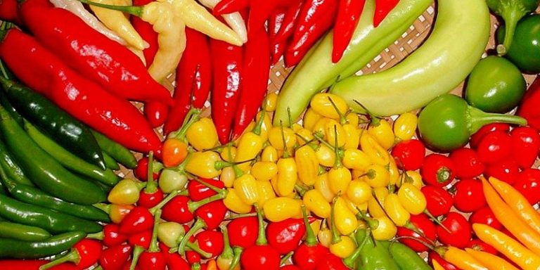 CLÍNICA TRINUTRIX - NUTRIÇÃO E SAÚDE PARA VOCÊ