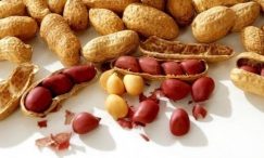 CLÍNICA TRINUTRIX - NUTRIÇÃO E SAÚDE PARA VOCÊ
